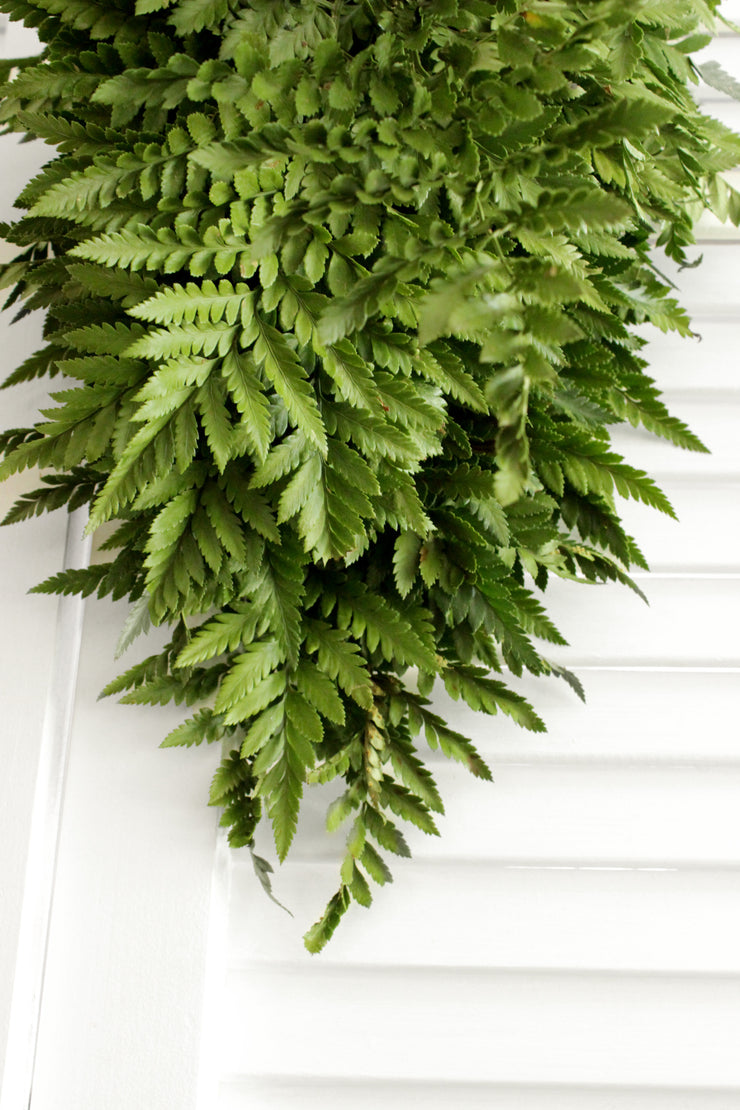 Leather Leaf Greenery | DIY Wedding Flowers | Free Shipping – Magnolia ...