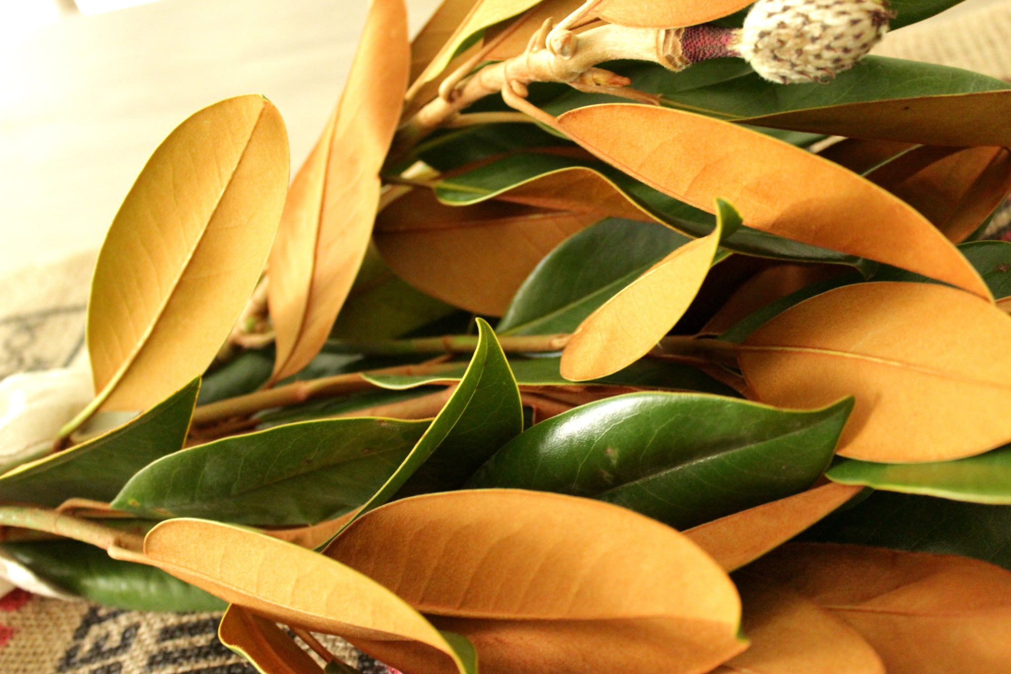 Magnolia Branches | DIY Wedding Flowers | Free Shipping – Magnolia ...