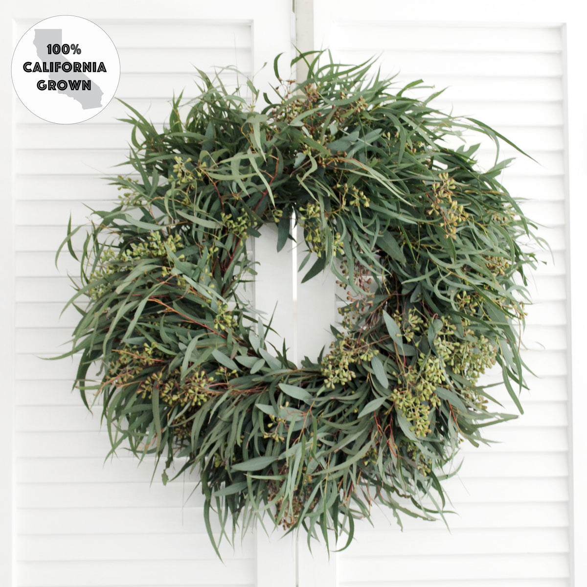 Fresh Handmade Willow Eucalyptus + Seeded Eucalyptus Wreath – Magnolia ...