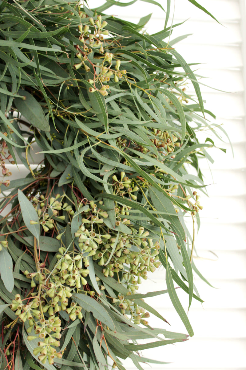 Fresh Handmade Willow Eucalyptus + Seeded Eucalyptus Wreath – Magnolia ...